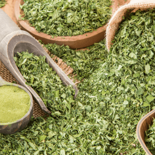 Comment consommer le moringa? Le guide complet pour utiliser la plante ...
