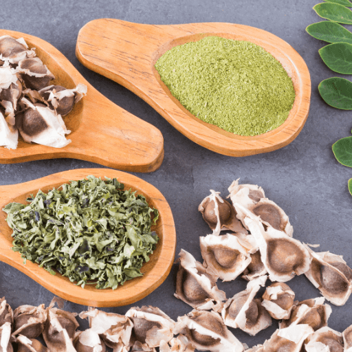 Comment consommer le moringa? Le guide complet pour utiliser la plante ...