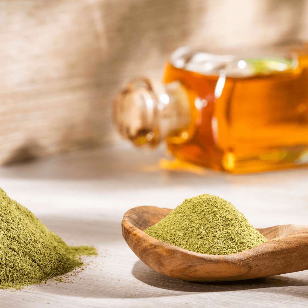 Huile de moringa : le guide complet sur ses incroyables propriétés, ses ...